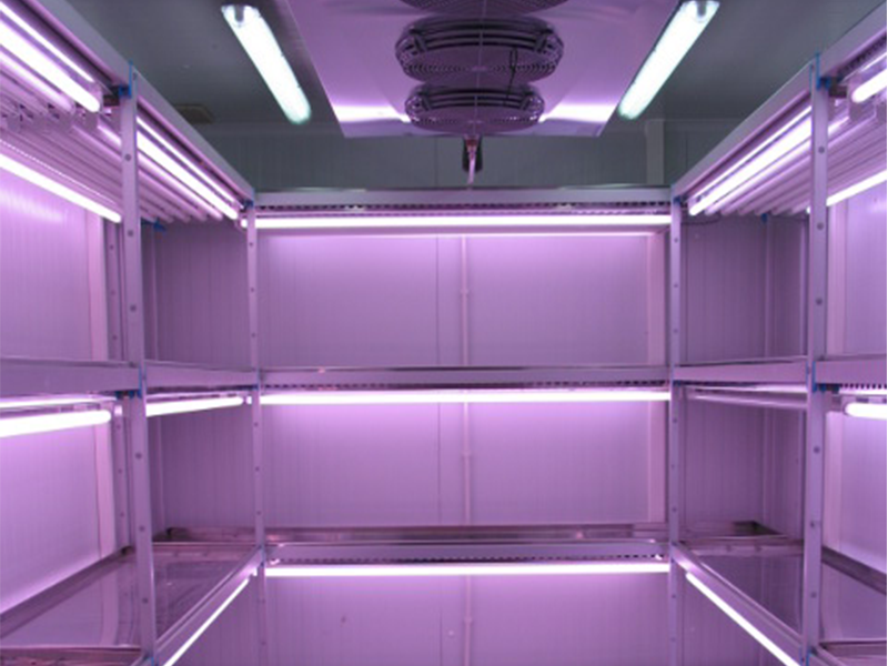 Stability modular chambers